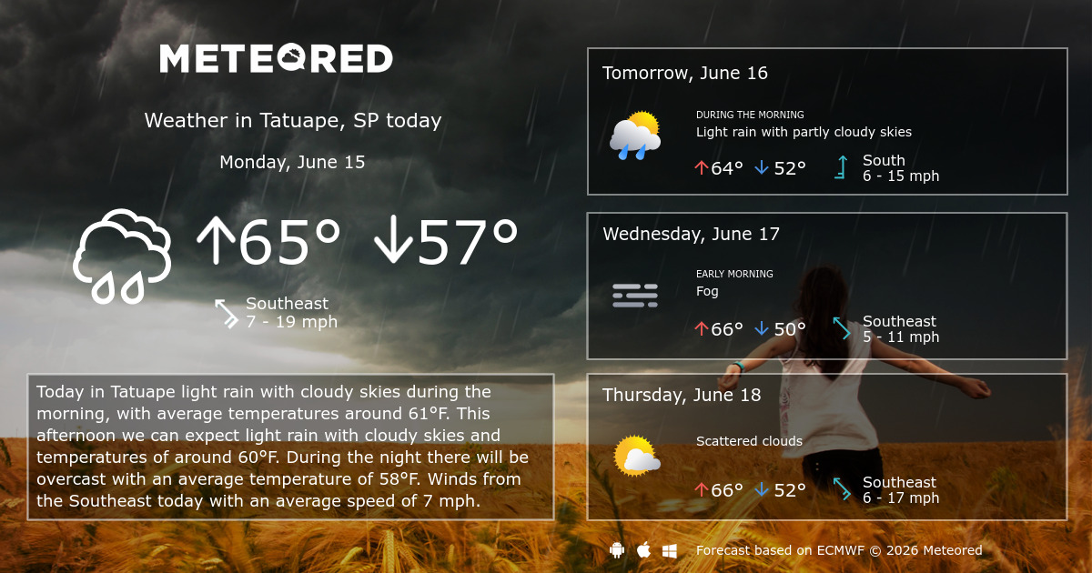 Tatuape, SP Weather 14 days - Meteored US