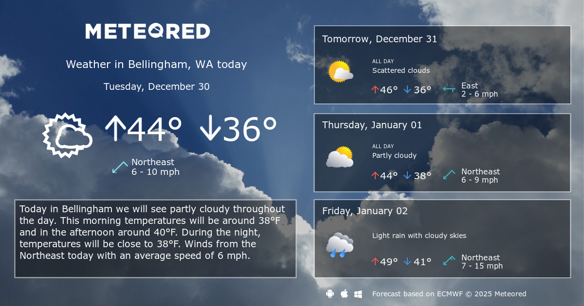 Bellingham, WA Weather 14 days - Meteored