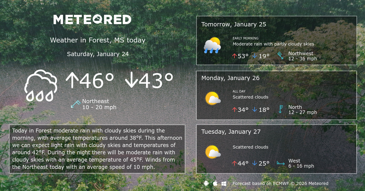 Forest, MS Weather 14 days - Meteored US