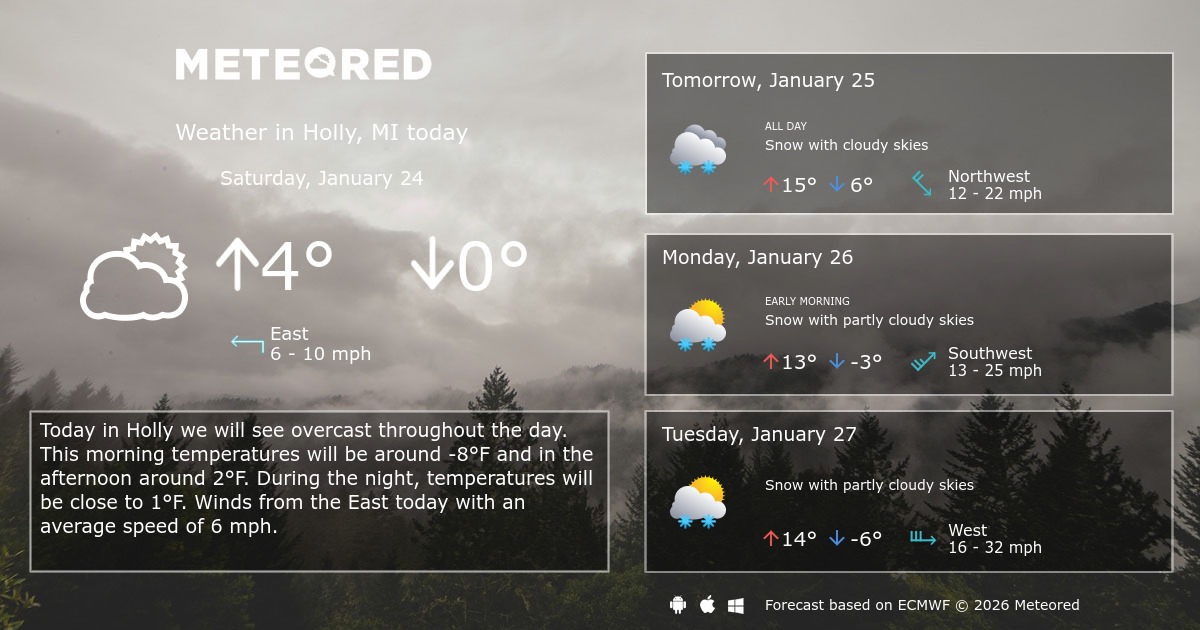 Holly, MI Weather 14 days - Meteored