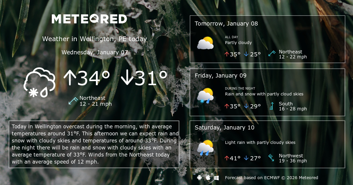 Wellington, PE Weather 14 days - Meteored